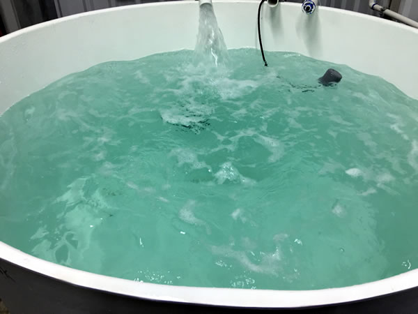 Photo Gallery Water Filtration & Treatment Systems Northwest Water ...